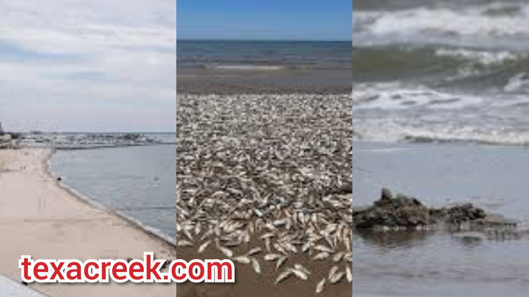 Top 12 ugliest beach in Texas [2025] - Texas Today